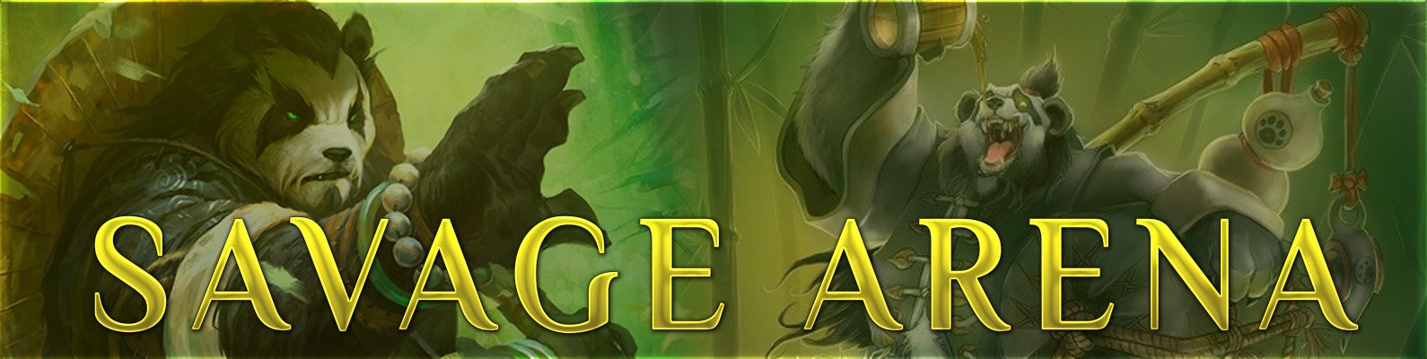 SavaGe -=[Arena]=- 2025 | ВКонтакте