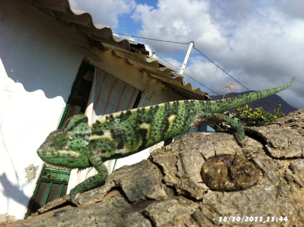 Xuah Guerrero, 38 лет, Испания, место жительства, аккаунт ВКонтакте